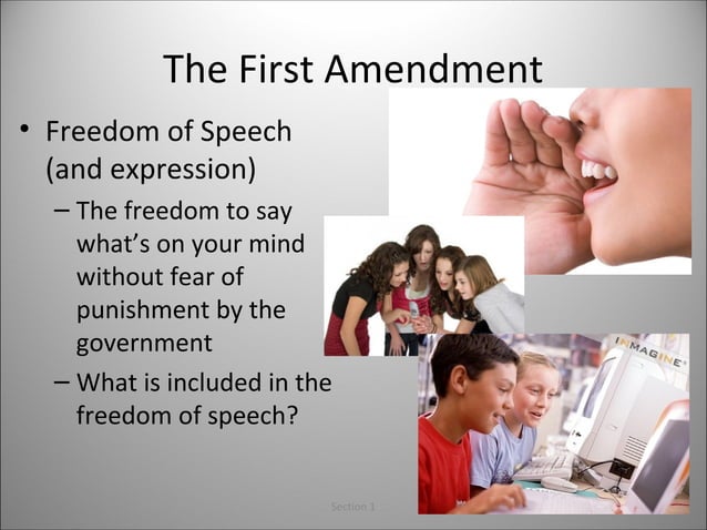 Bill of rights | PPT