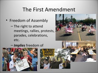Bill of rights | PPT