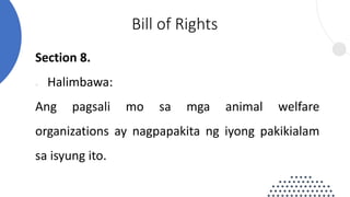 Bill of Rights.pptx