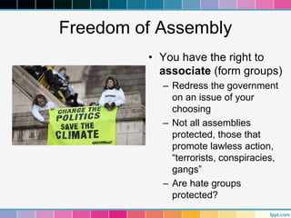 The Bill of Rights | PPT