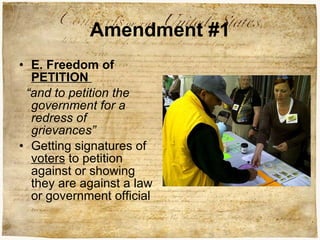 Bill of rights fill in 08 | PPT