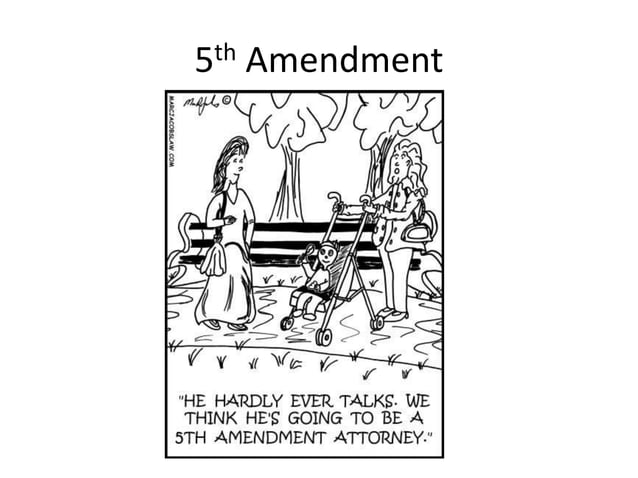 Bill of rights political cartoon | PPTX