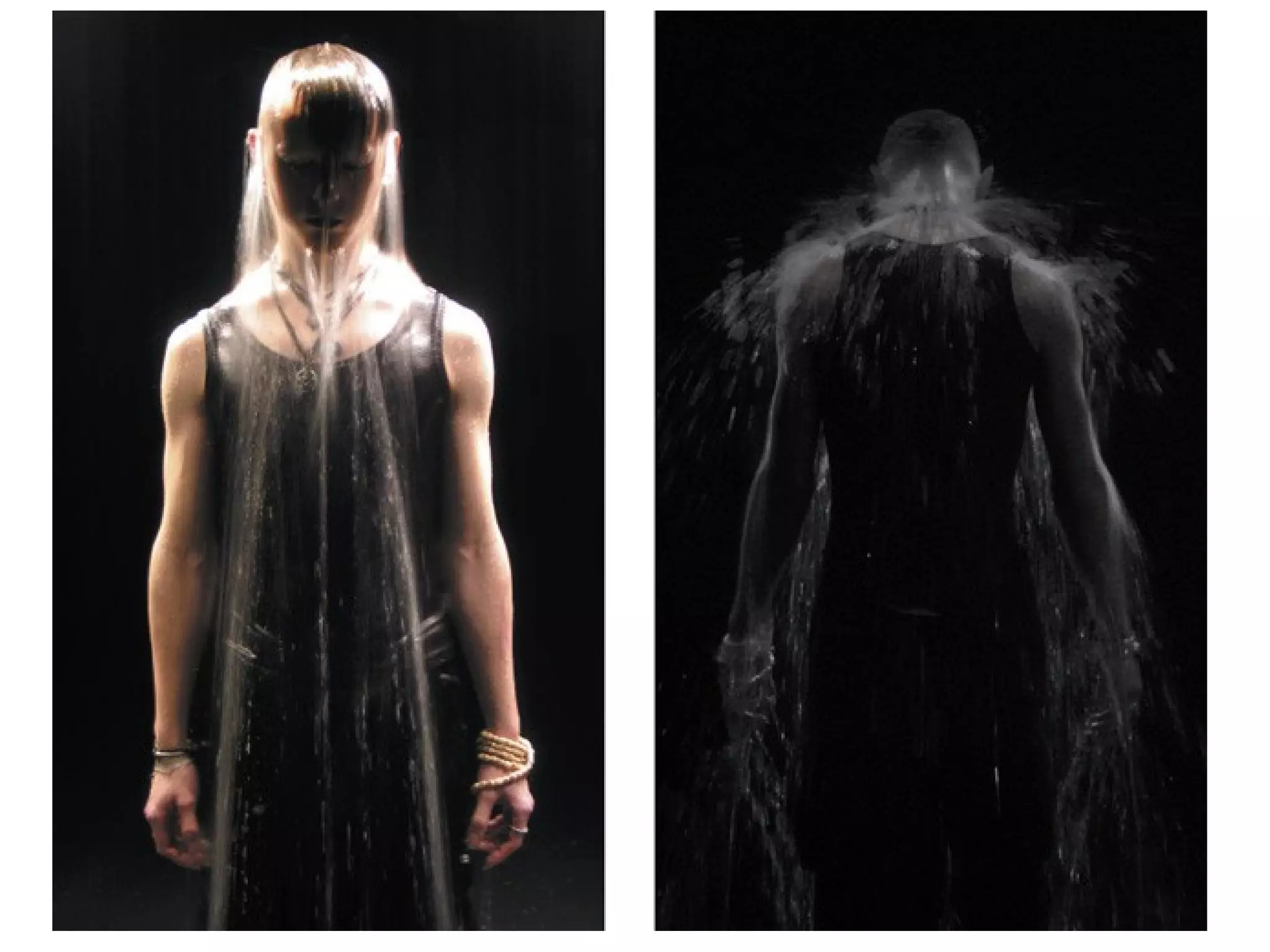 Bill viola | PPT