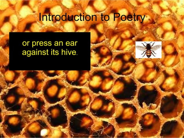 Billy Collins Introduction to Poetry | PPS