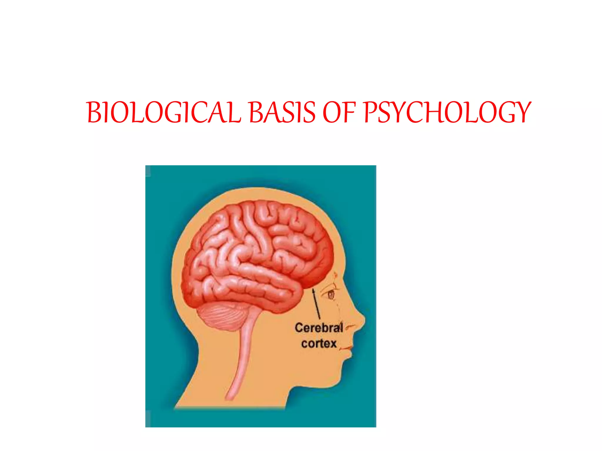 Bilogical basis of psychology | PPTX