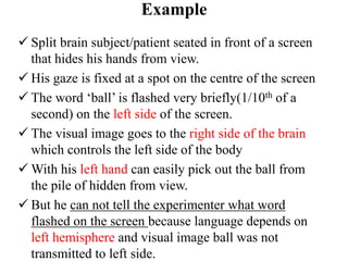 Bilogical basis of psychology | PPTX
