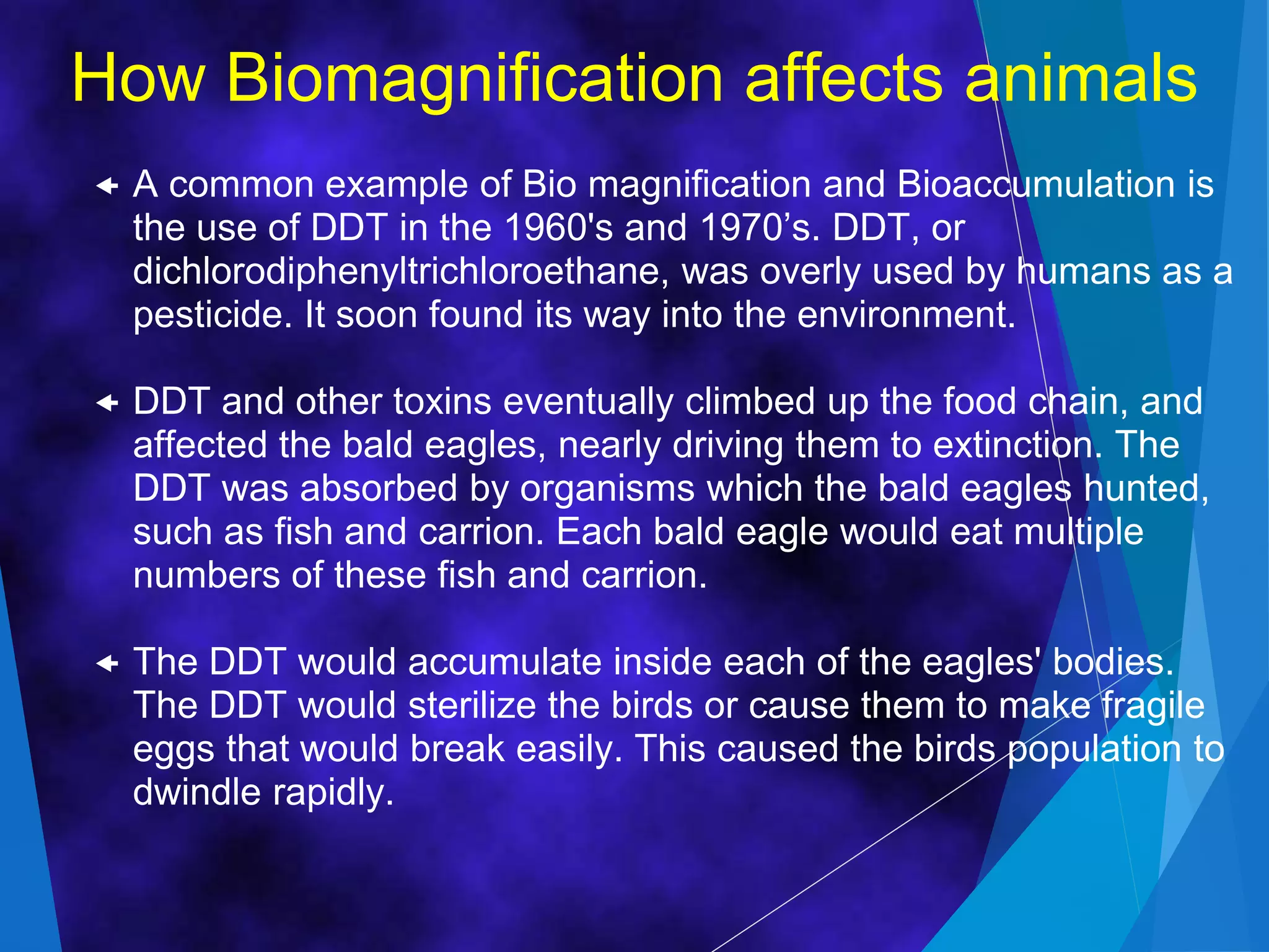 Bilogical magnification | PPTX