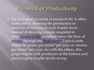 Bilogical pyramids | PPTX