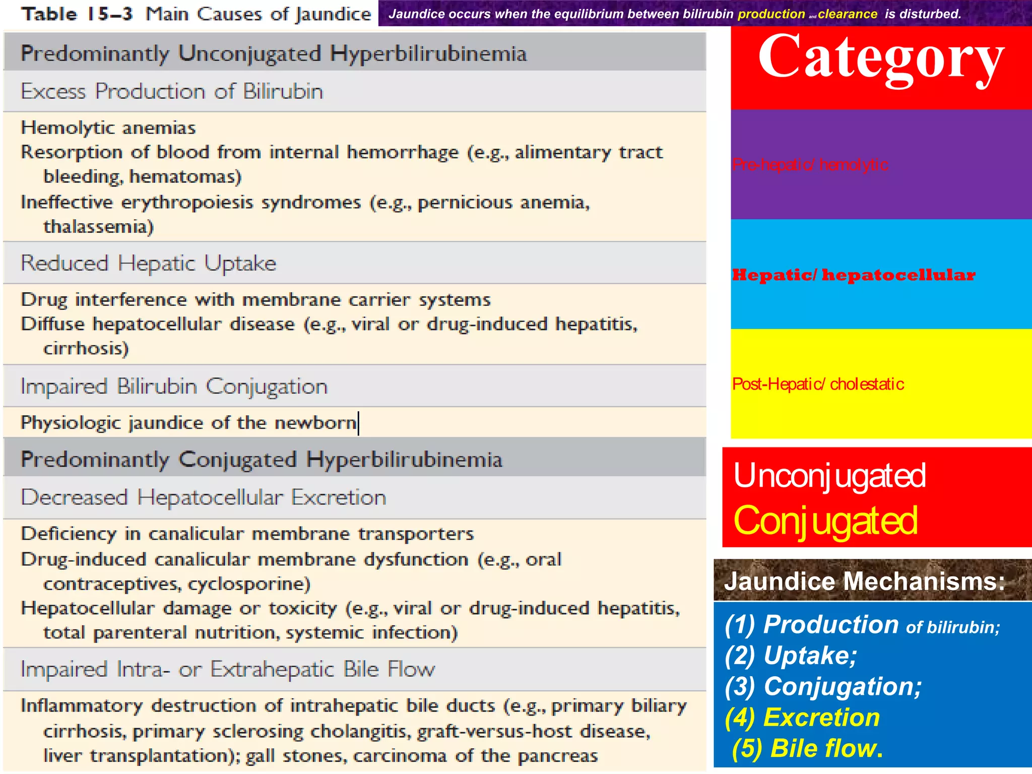 Bilrubin & jaundice: causes,pathogenesis,classification & clinical ...