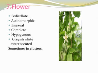 BILWA single drug detailed and simplified explanation | PPTX