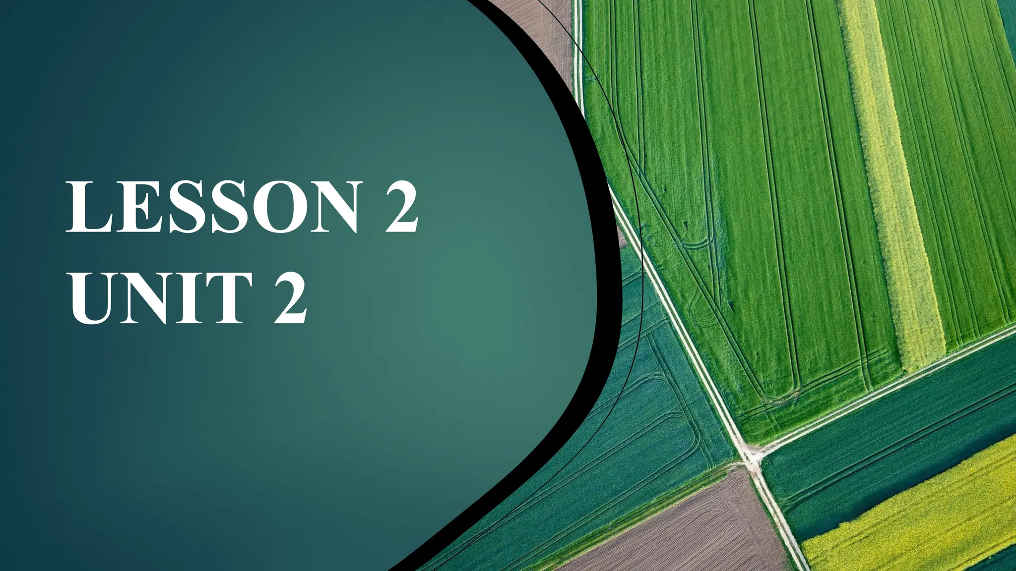 Bily's lesson 2unit 2 wondeful world 5.pptx