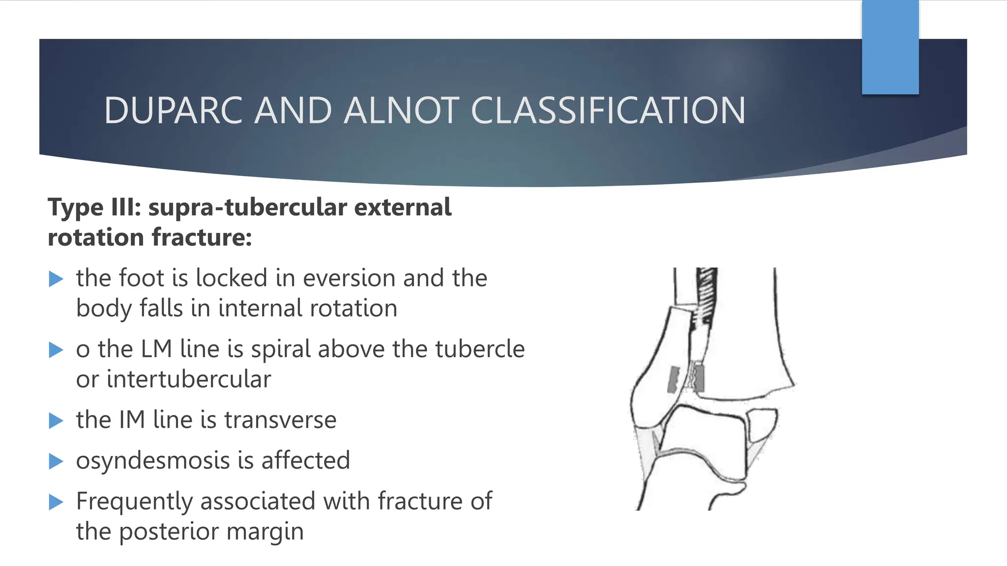 BIMALLEOLAR FRACTURES mechanism and anapath.pptx