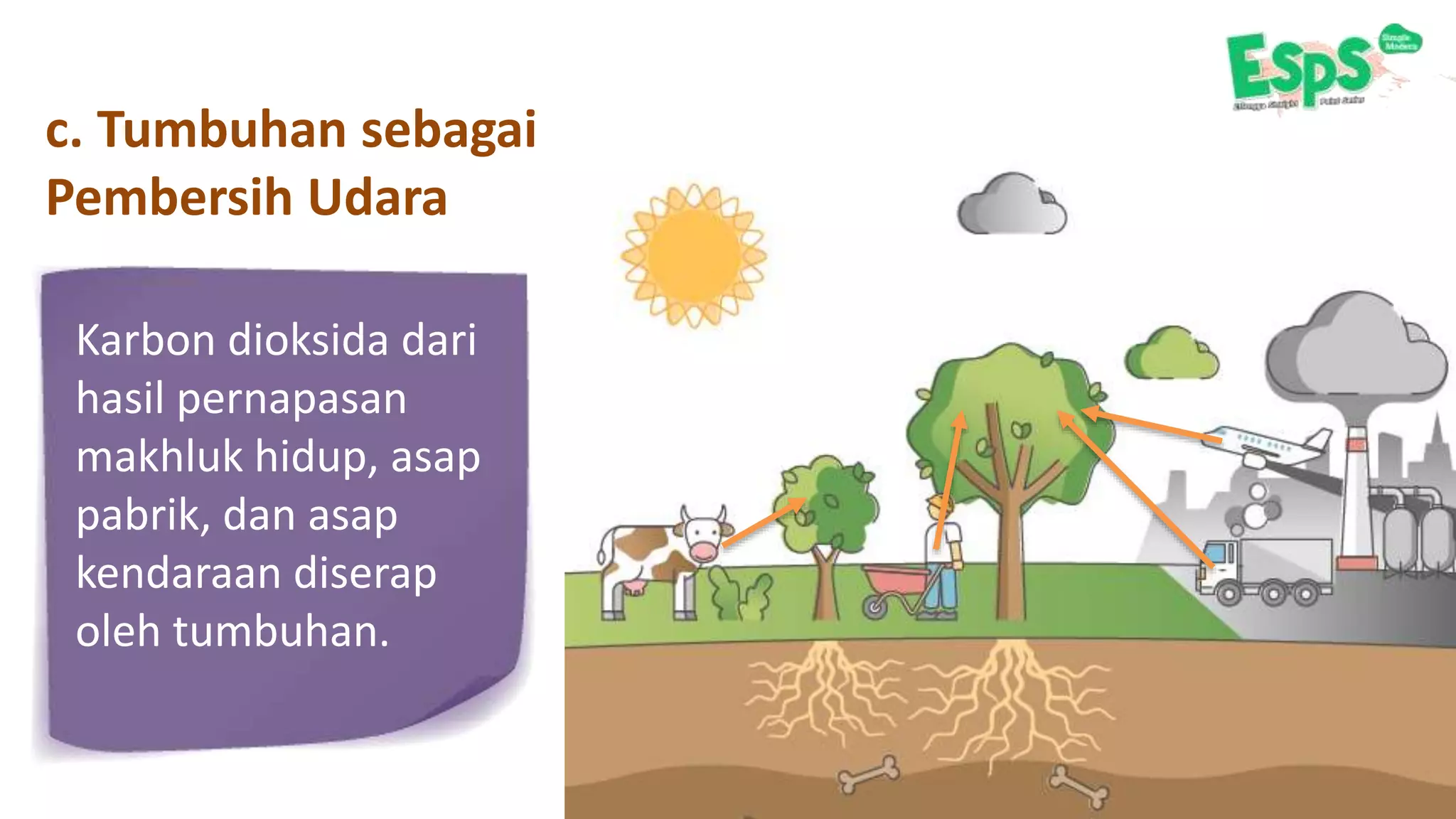 Bimbel BLC Bab 1. Tumbuhan Sumber Kehidupan (1).pptx
