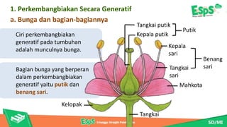 Bimbel BLC Bab 1. Tumbuhan Sumber Kehidupan (1).pptx