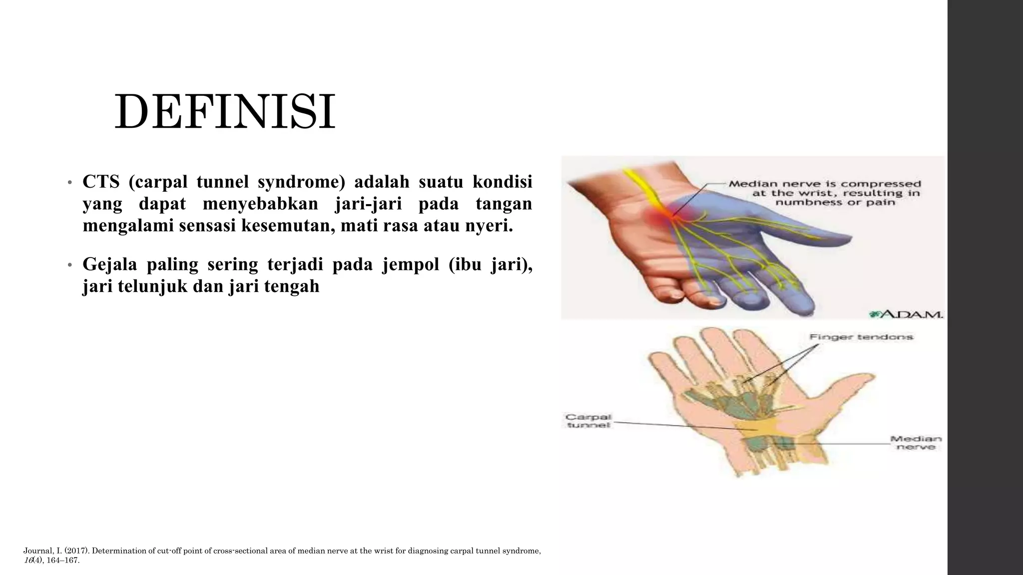 BIMBINGAN 7 - CTS, TTS, Neuropati, Peroneal Palsy, Neurogenic Bladder ...