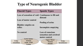 BIMBINGAN 7 - CTS, TTS, Neuropati, Peroneal Palsy, Neurogenic Bladder ...