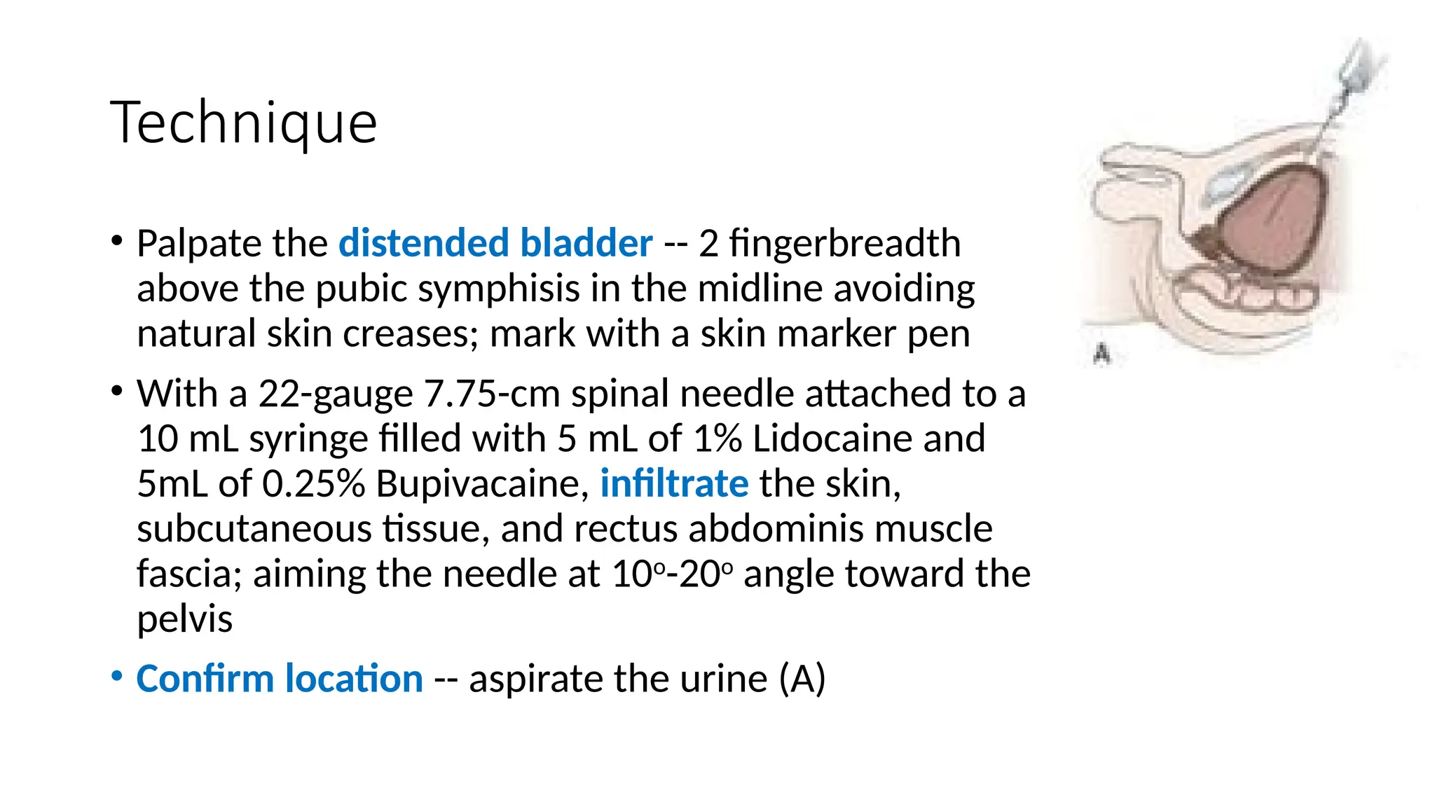 Bimbingan Sistostomi Terbuka Bedah—-Umum | PPTX