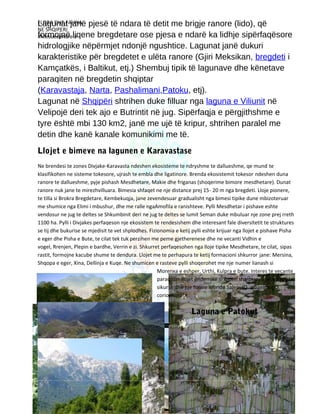 FLORA DHE FAUNA NE SHQIPERI DHE KOSOVE | PDF