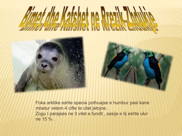 Bimet dhe kafshet ne rrezik zhdukje | PPTX