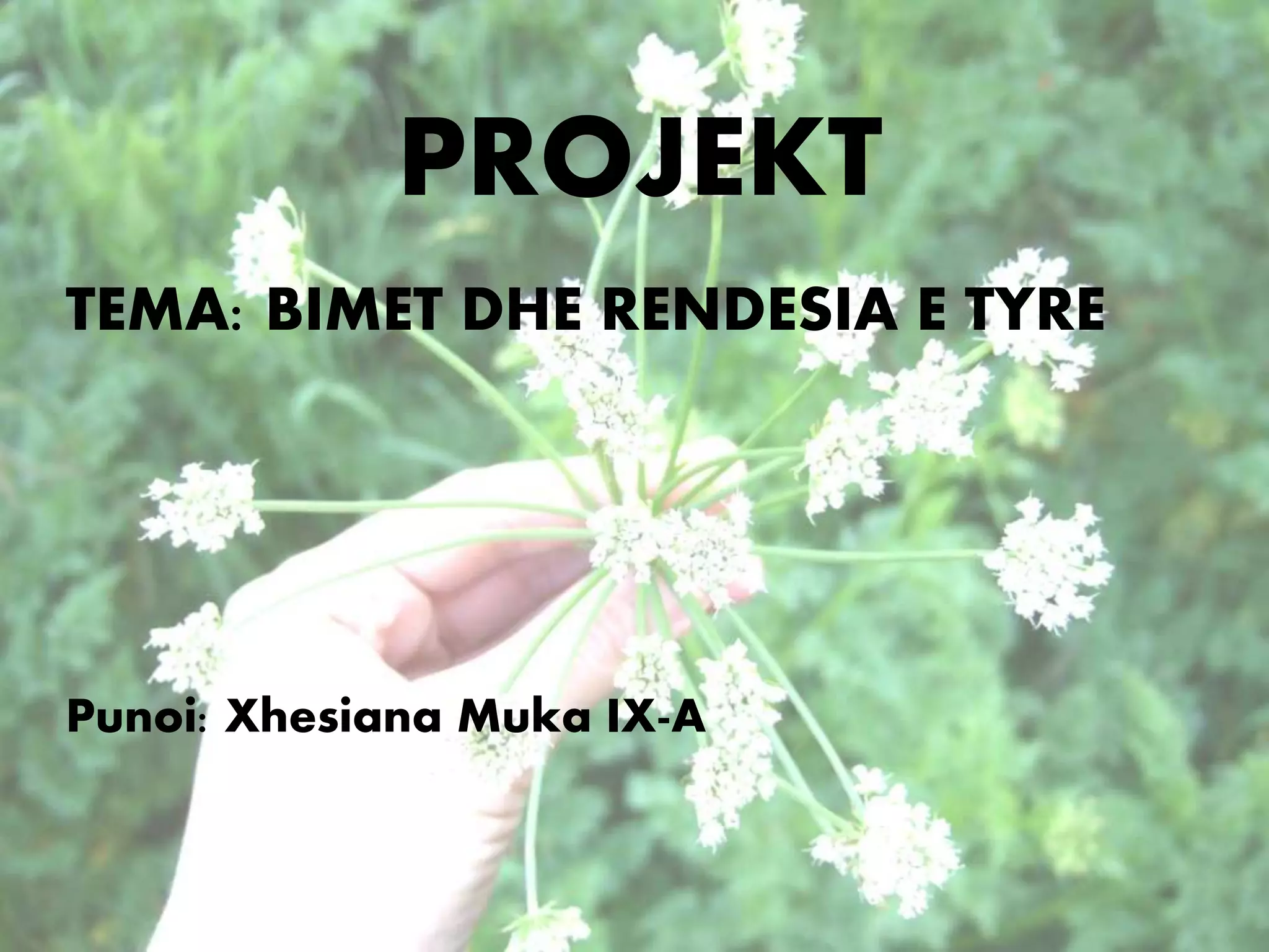 Bimet dhe rendesia e tyre | PPTX