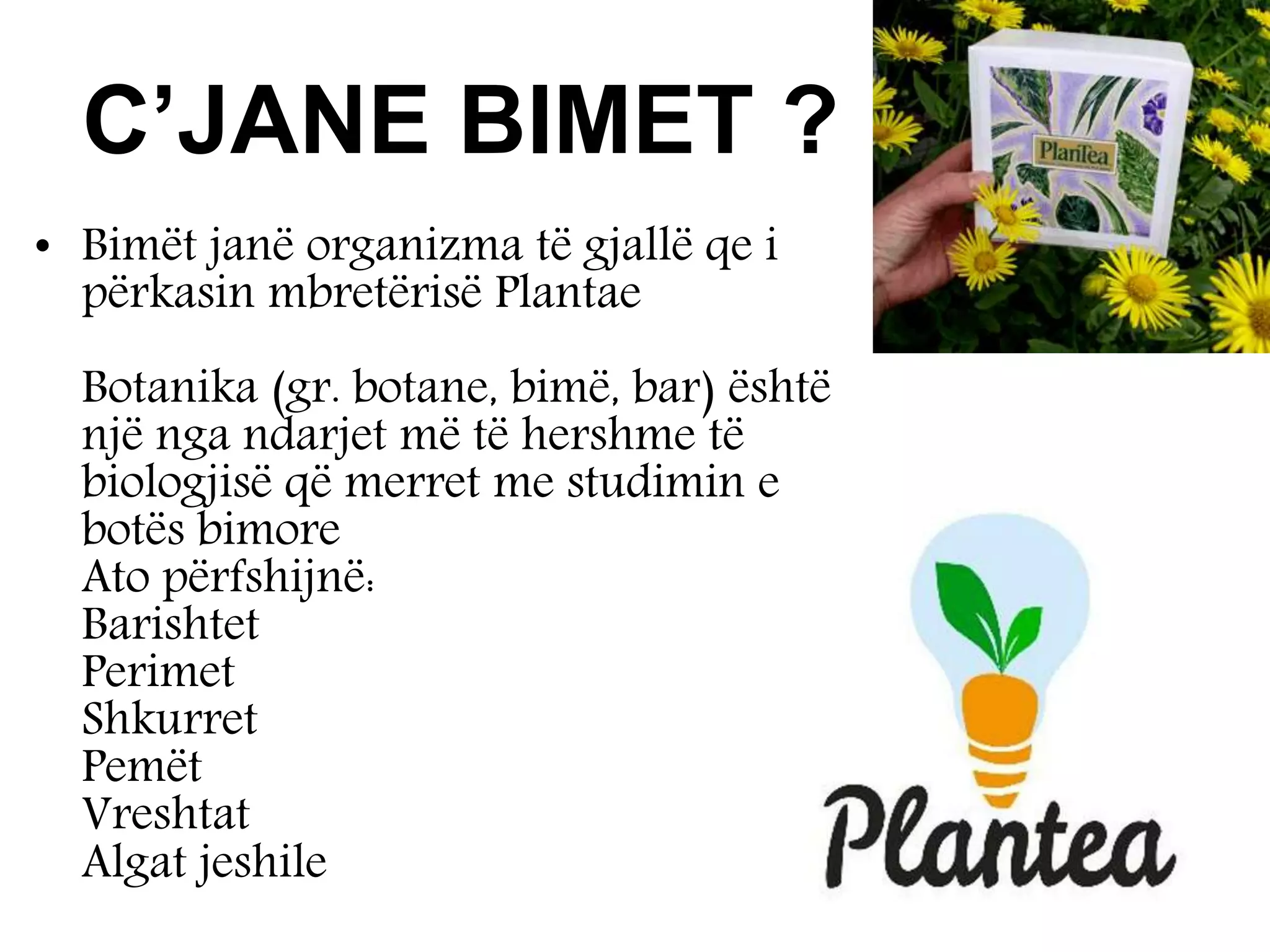 Bimet dhe rendesia e tyre | PPTX
