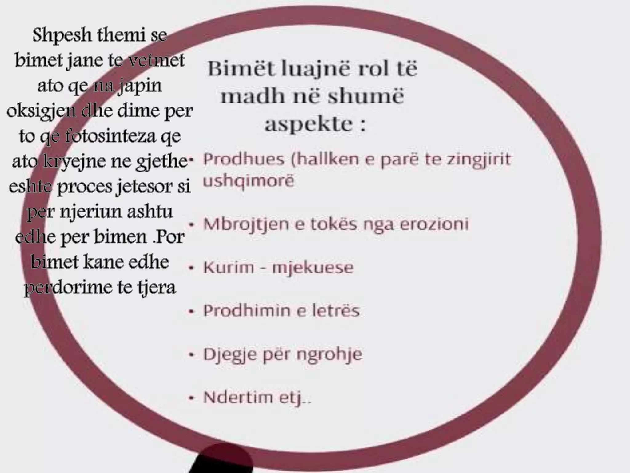 Bimet dhe rendesia e tyre | PPTX