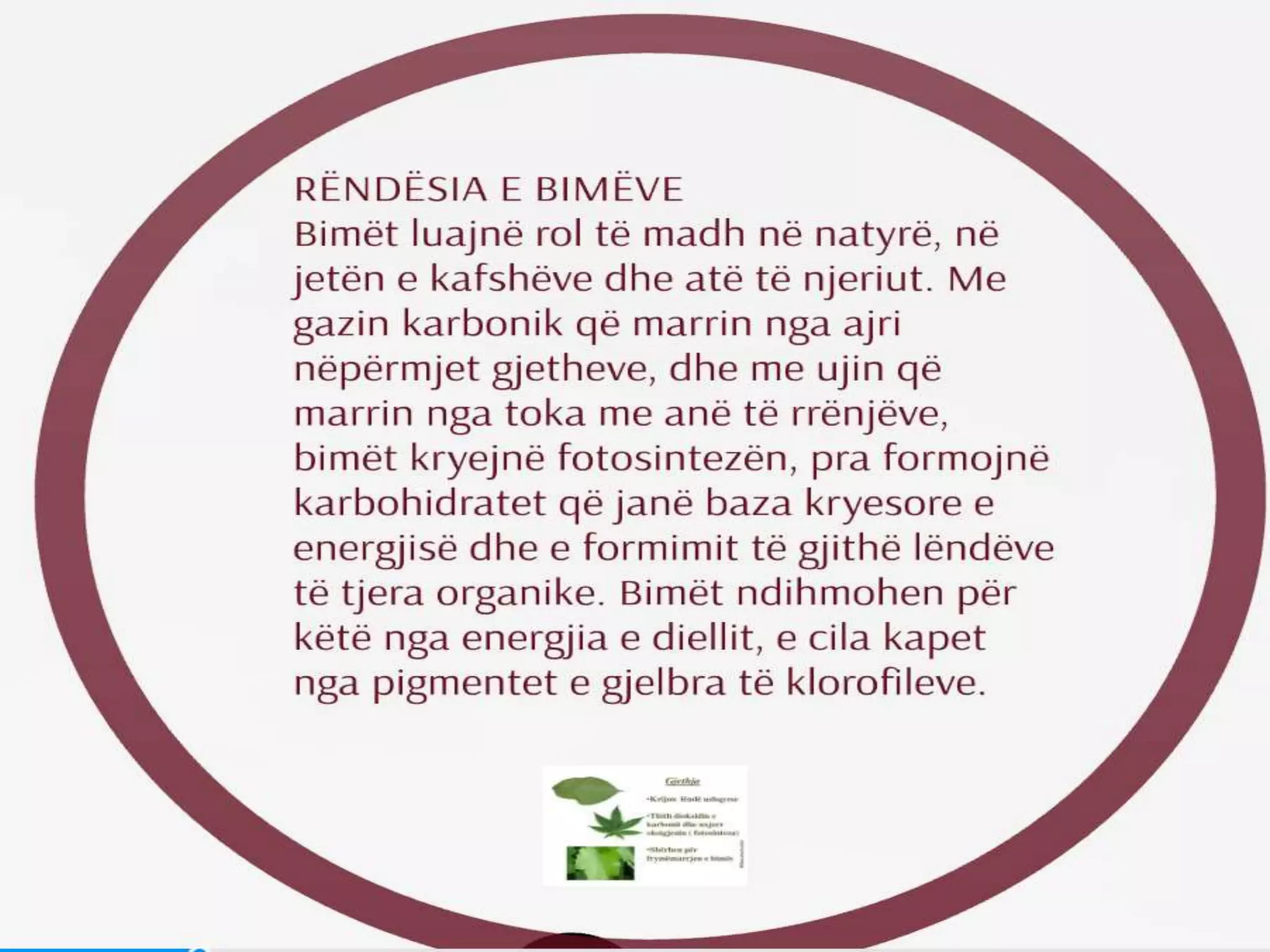 Bimet dhe rendesia e tyre | PPTX