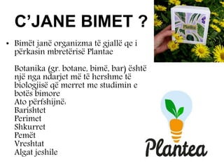 Bimet dhe rendesia e tyre | PPTX