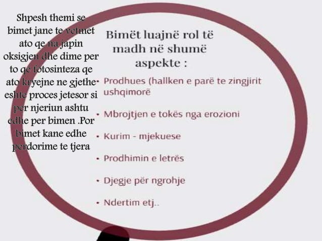 Bimet dhe rendesia e tyre | PPTX