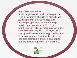 Bimet dhe rendesia e tyre | PPTX