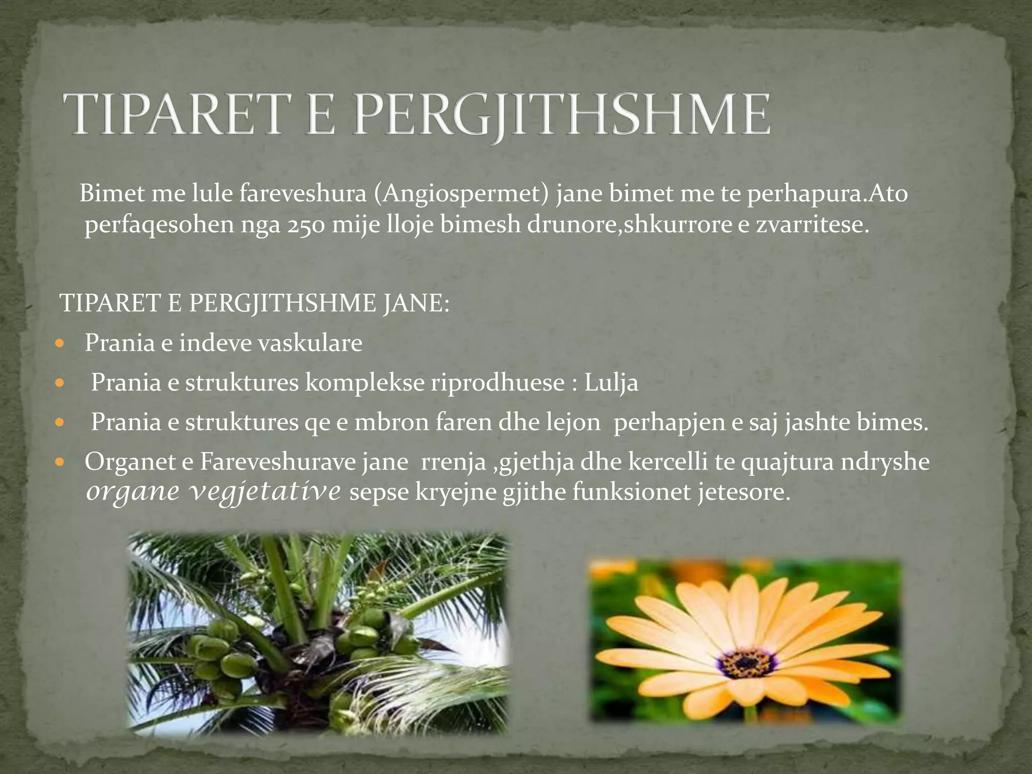 Bimet fareveshura 1`Pamela Tanku shkolla "Albanet" klasa VIII | PPTX