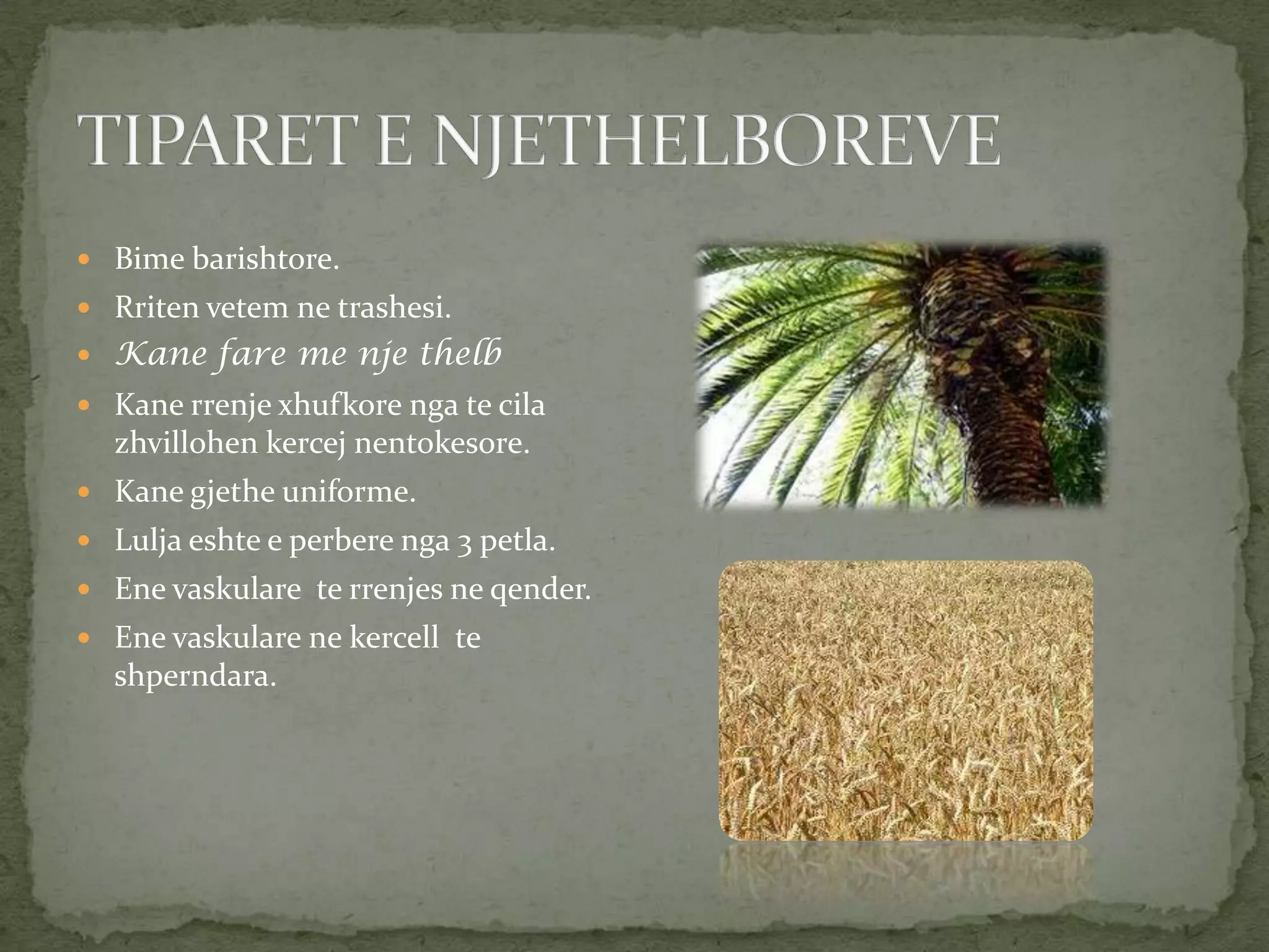 Bimet fareveshura 1`Pamela Tanku shkolla "Albanet" klasa VIII | PPTX