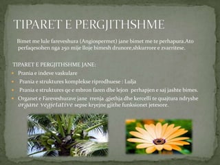 Bimet fareveshura 1`Pamela Tanku shkolla "Albanet" klasa VIII | PPTX