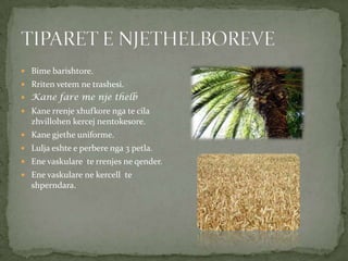 Bimet fareveshura 1`Pamela Tanku shkolla "Albanet" klasa VIII | PPTX