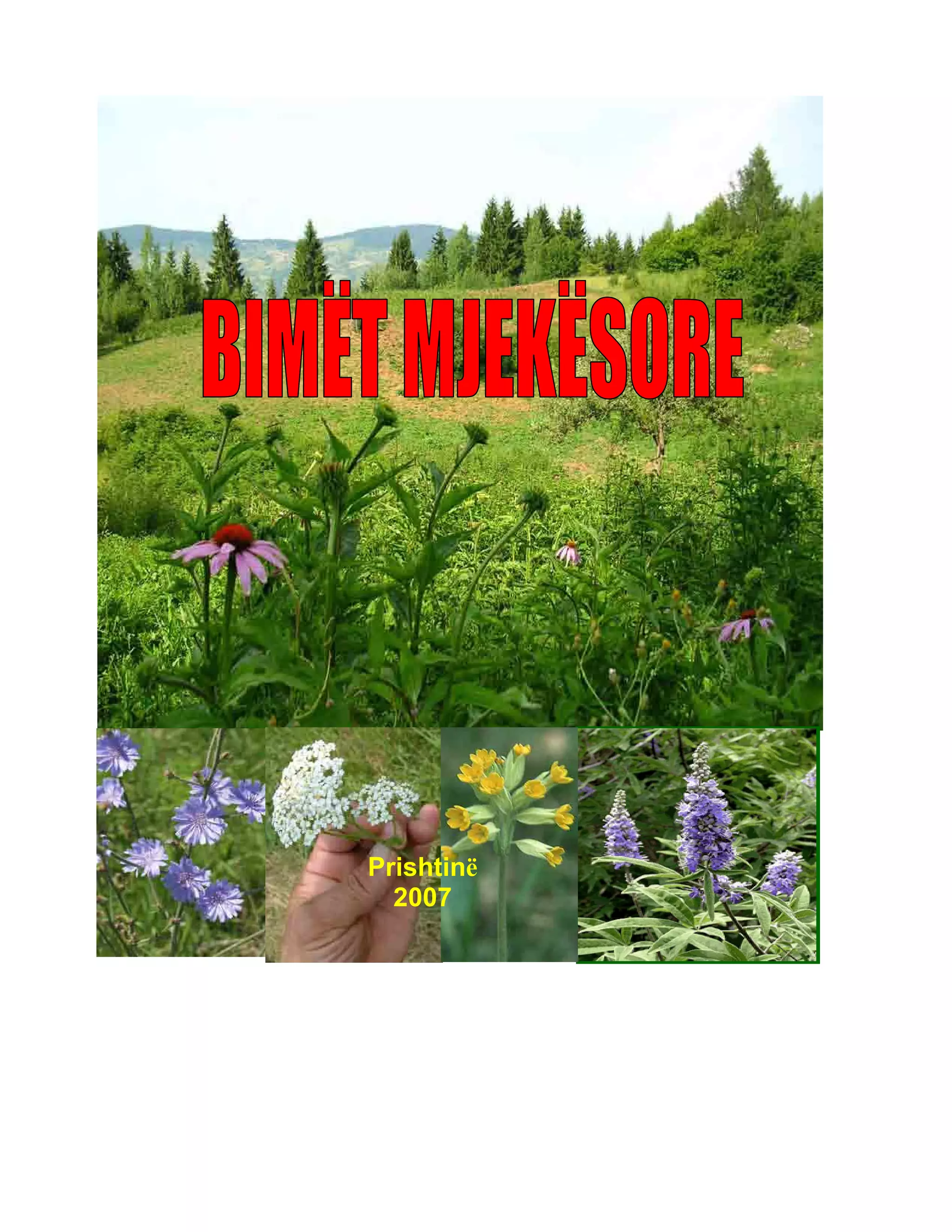 Bimet mjekesore shq | PDF