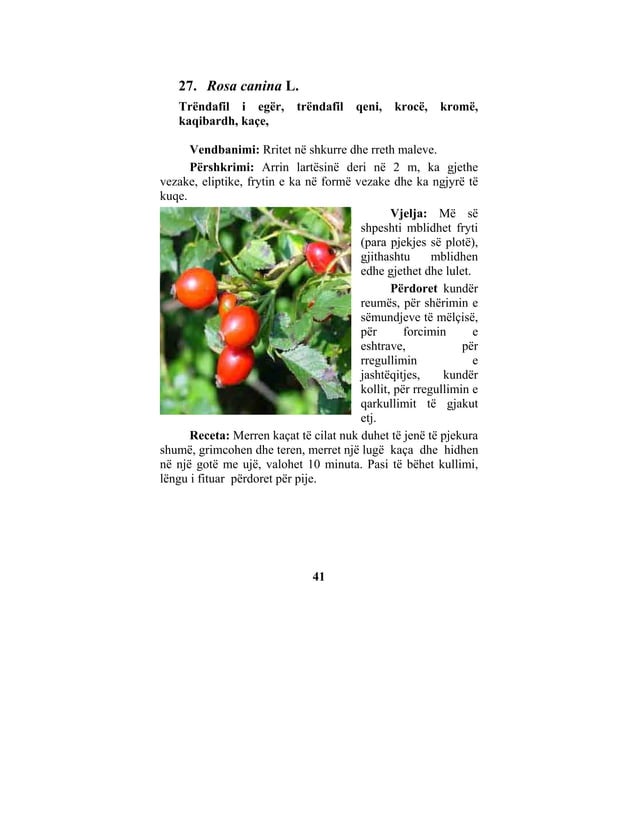 Bimet Mjekesore Shq%5 B1%5 D | PDF