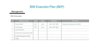 Bim execution plan | PDF