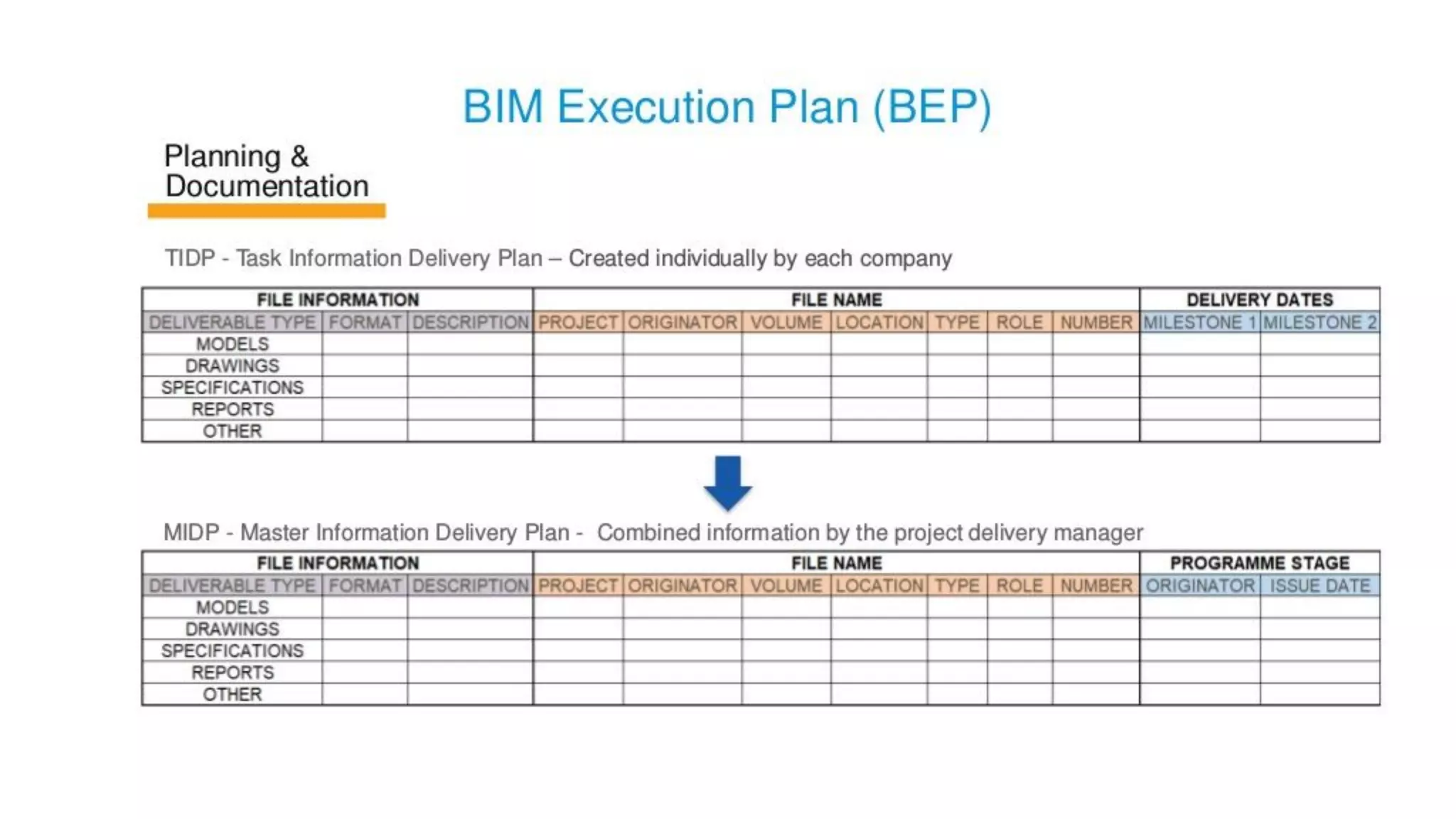 Bim execution plan | PDF