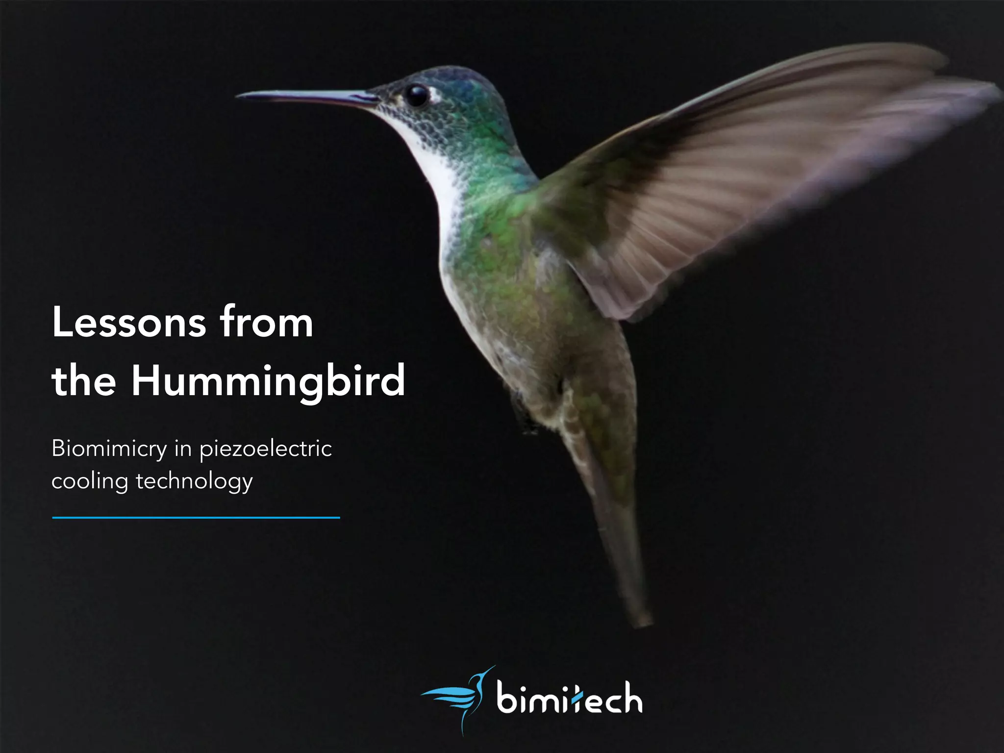 Biomimicry in Action - Innovation in Cooling Technologies | PDF