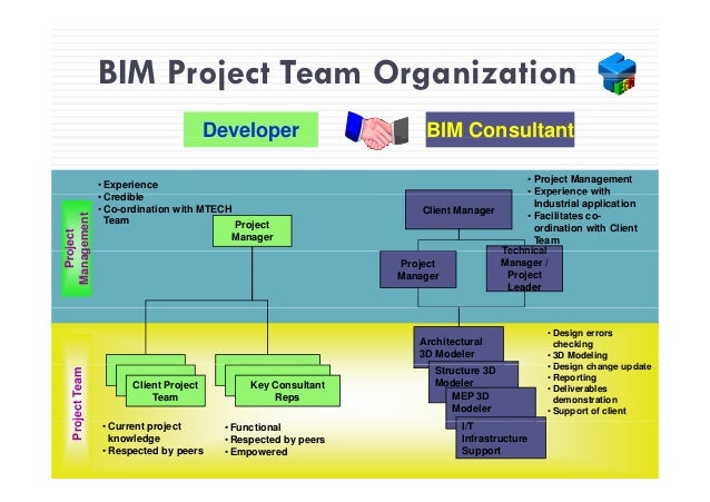 BIM project execution