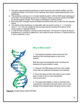 Forms of DNA | PDF