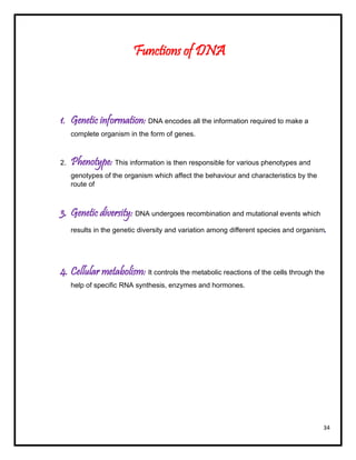 Forms of DNA | PDF