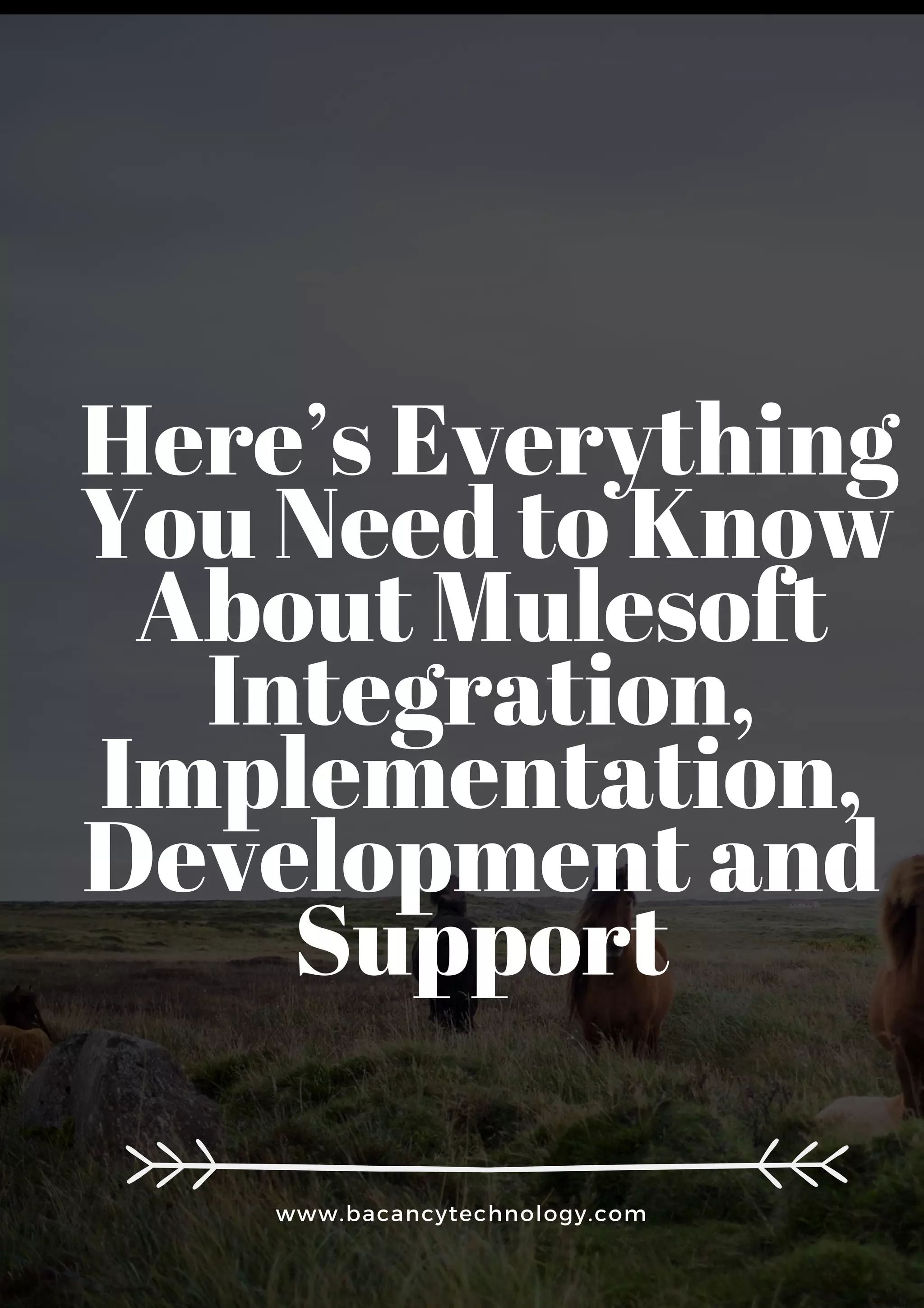 Here’s Everything You Need to Know About Mulesoft Integration ...