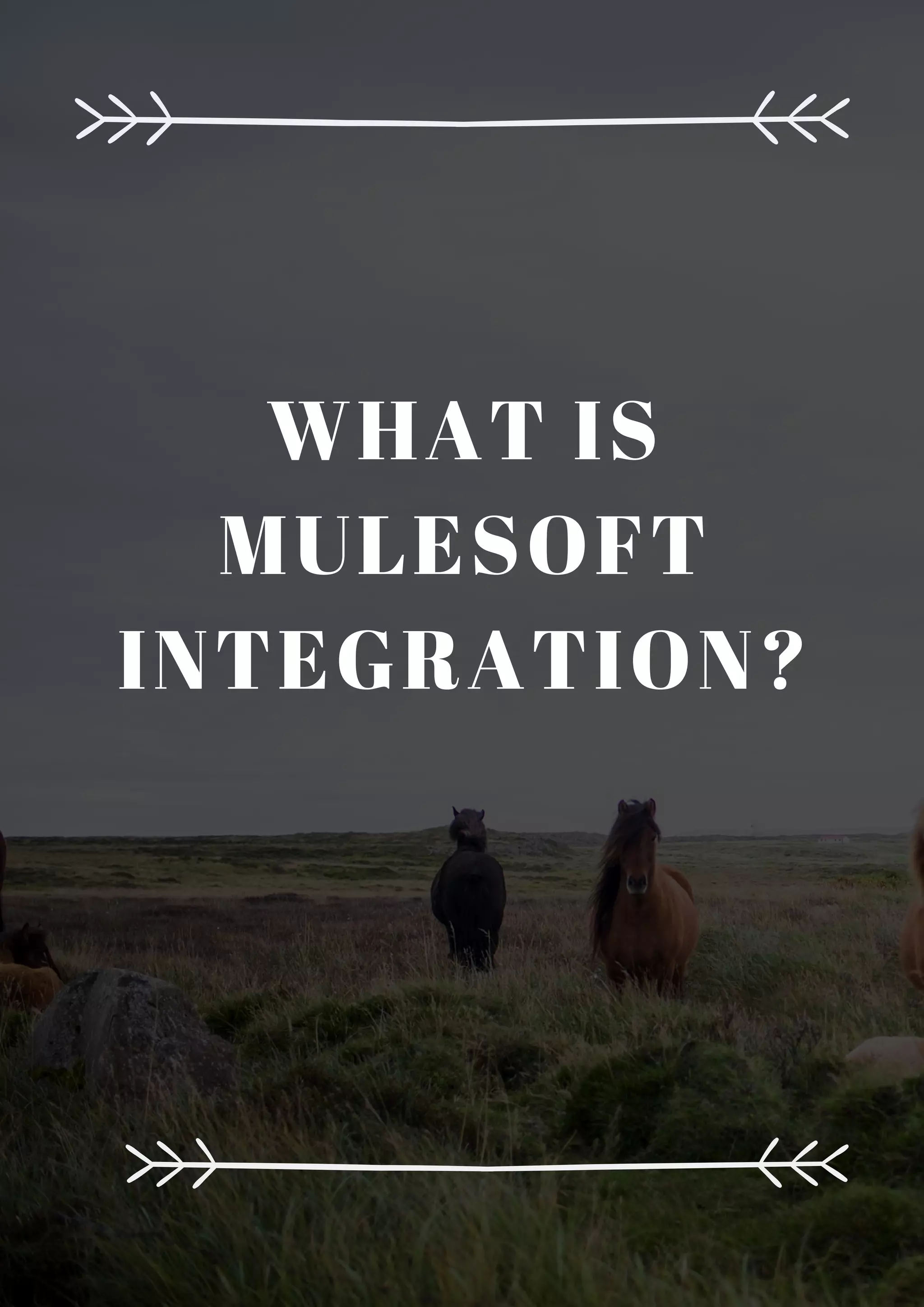 Here’s Everything You Need to Know About Mulesoft Integration, Implementation, Development and ...
