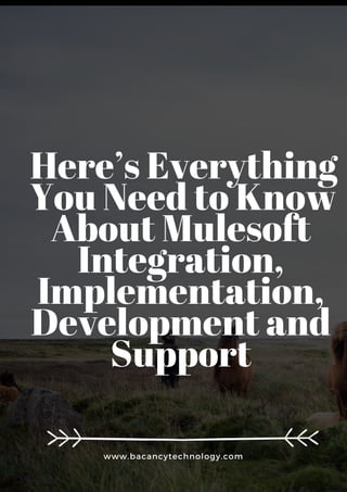 Here’s Everything You Need to Know About Mulesoft Integration ...
