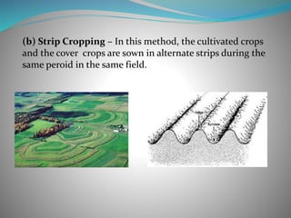 soil erosion and conservation | PPTX