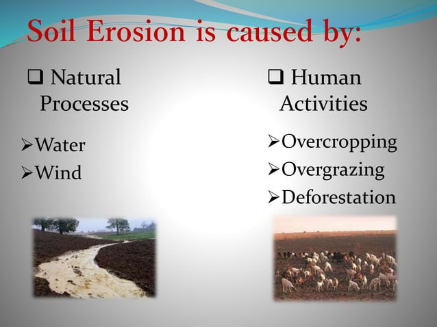 Soil Erosion and Conservation Environmental Science Unit Study ...