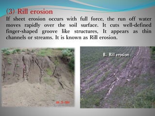 Rill Erosion Definition