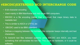 Binary and EC codes | PPTX | Programming Languages | Computing
