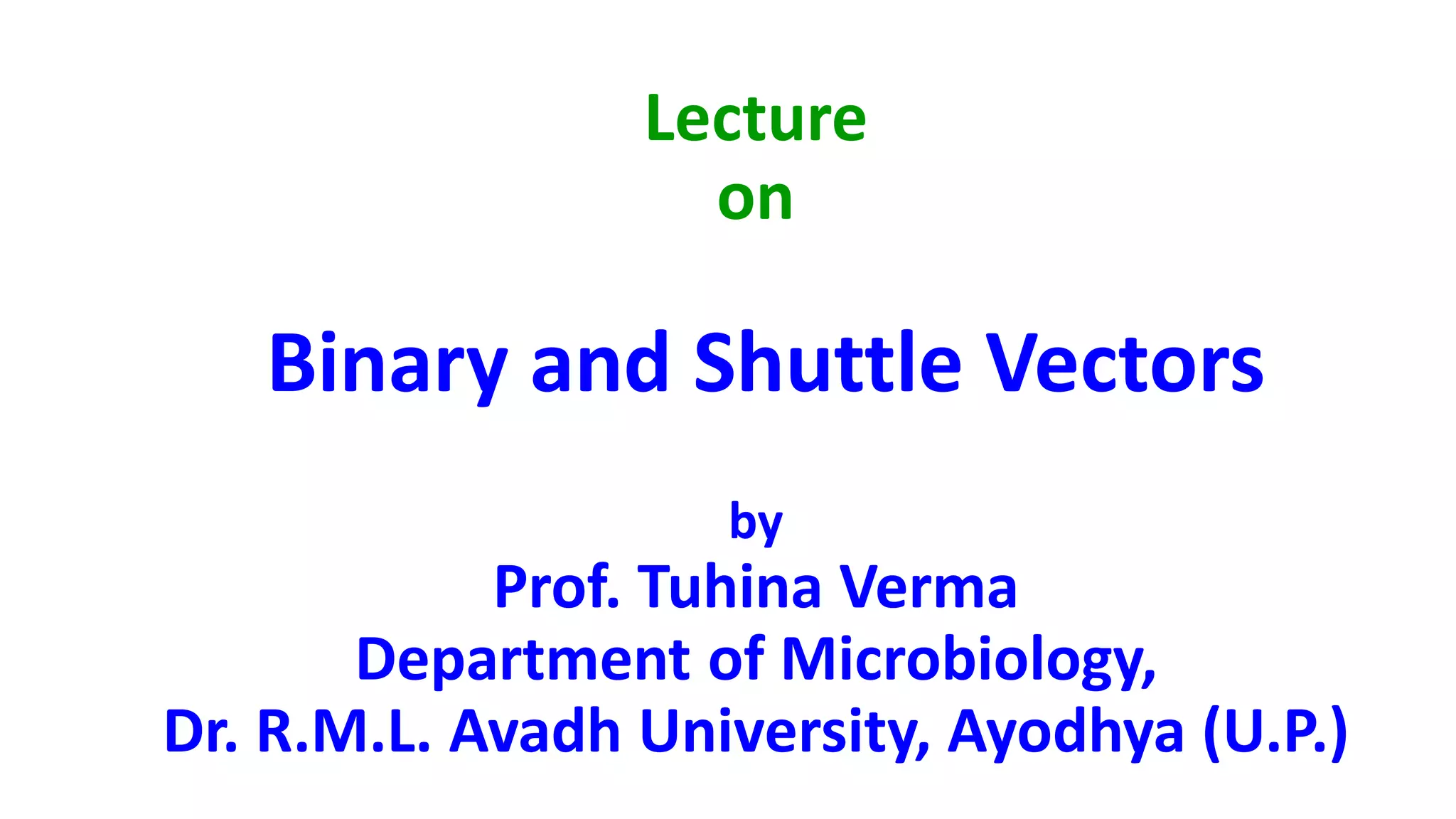Binary_and_Shuttle_Vectors__1_.pdf